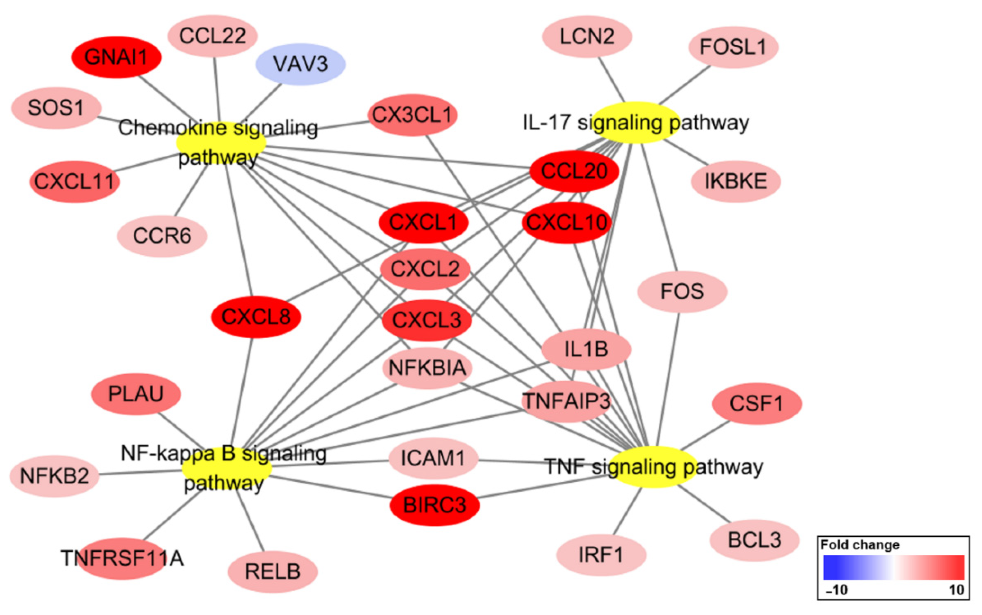 Transcriptome Analysis Reveals Immunomodulatory Effect of Spore ...