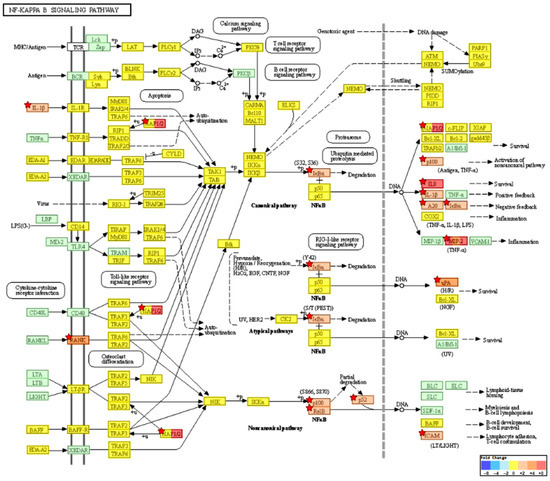 Transcriptome Analysis Reveals Immunomodulatory Effect of Spore ...
