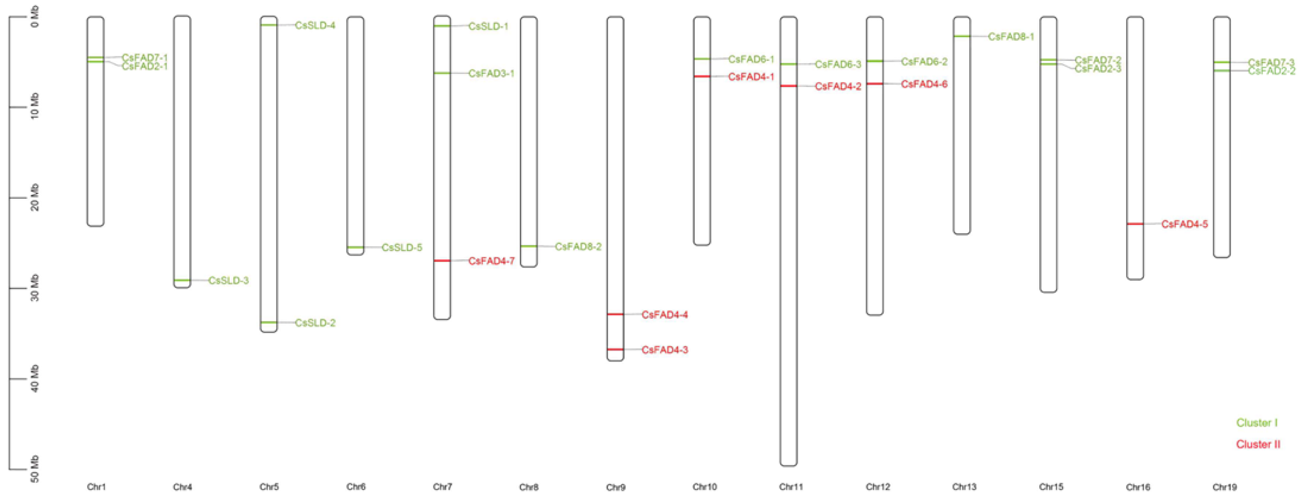 Genome-Wide Identification and Expression Analysis of Fatty Acid ...