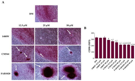 The Inhibition of the Inducible Nitric Oxide Synthase Enhances the DPSC ...