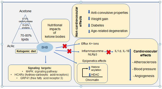 Ketone Bodies as Metabolites and Signalling Molecules at the Crossroad ...