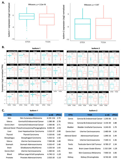 Differential Expression of RSK4 Transcript Isoforms in Cancer and Its ...