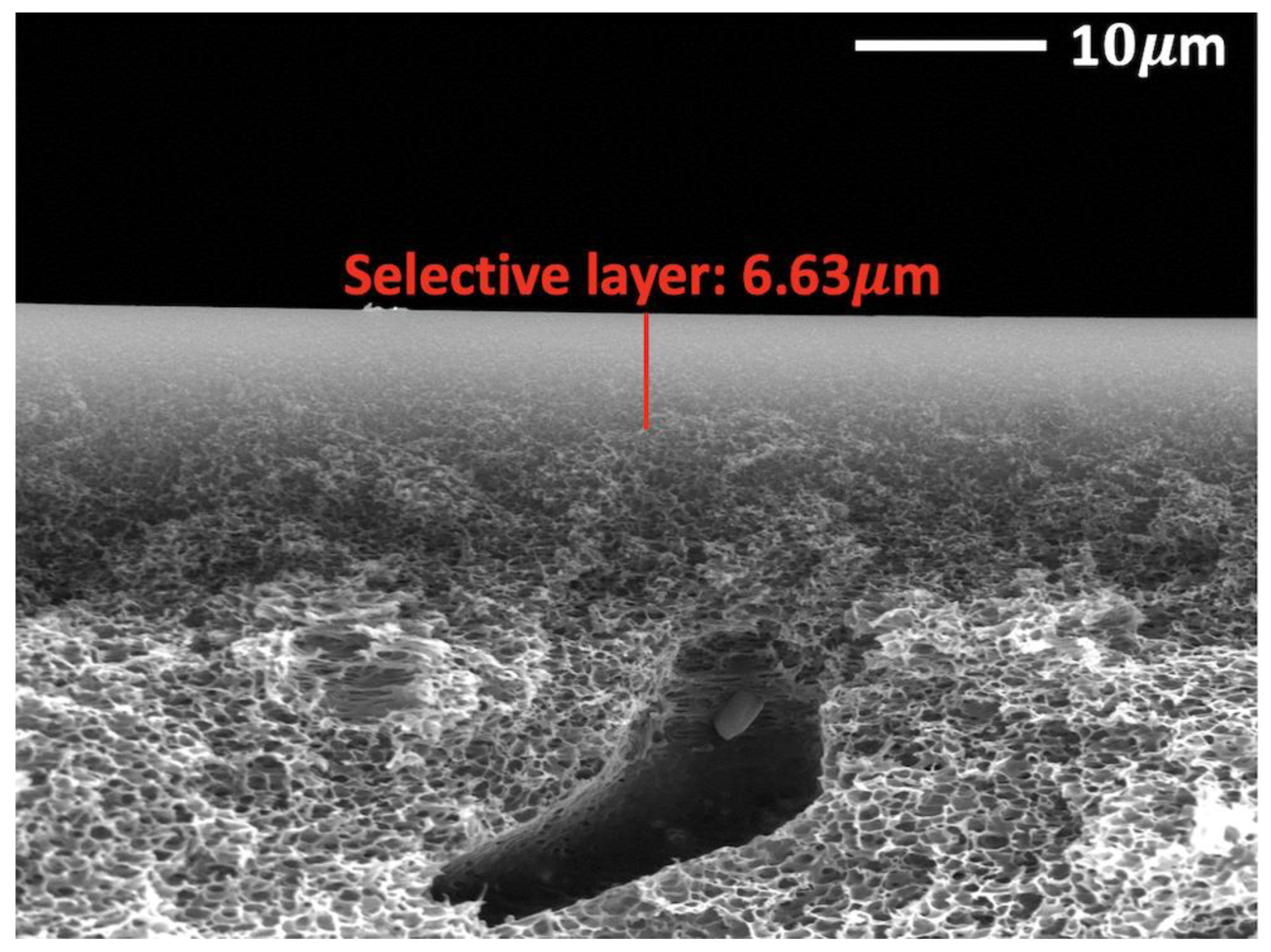 CuO Modified by 7,7,8,8-Tetracyanoquinodimethane and Its Application to CO2 Separation