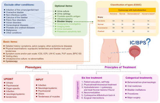 IJMS | Free Full-Text | Broaden Horizons: The Advancement of ...