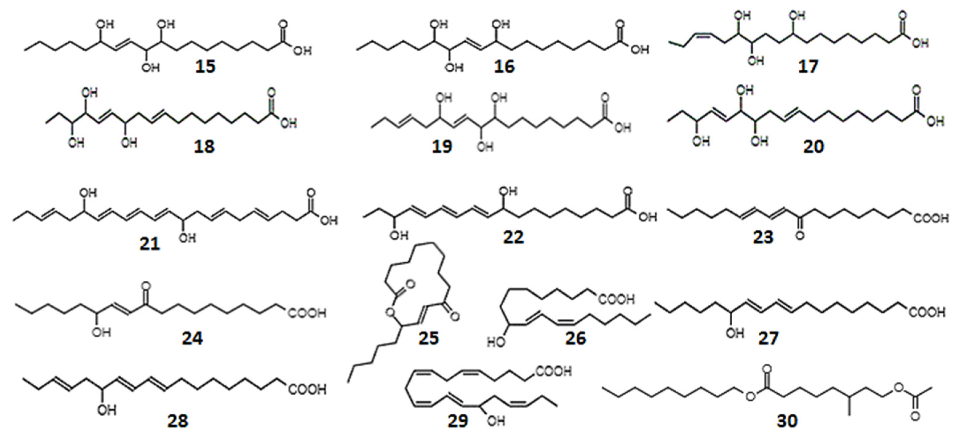 Therapeutic Potential of Plant Oxylipins