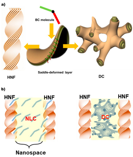 Chiroptical Performances in Self-Assembled Hierarchical Nanosegregated ...