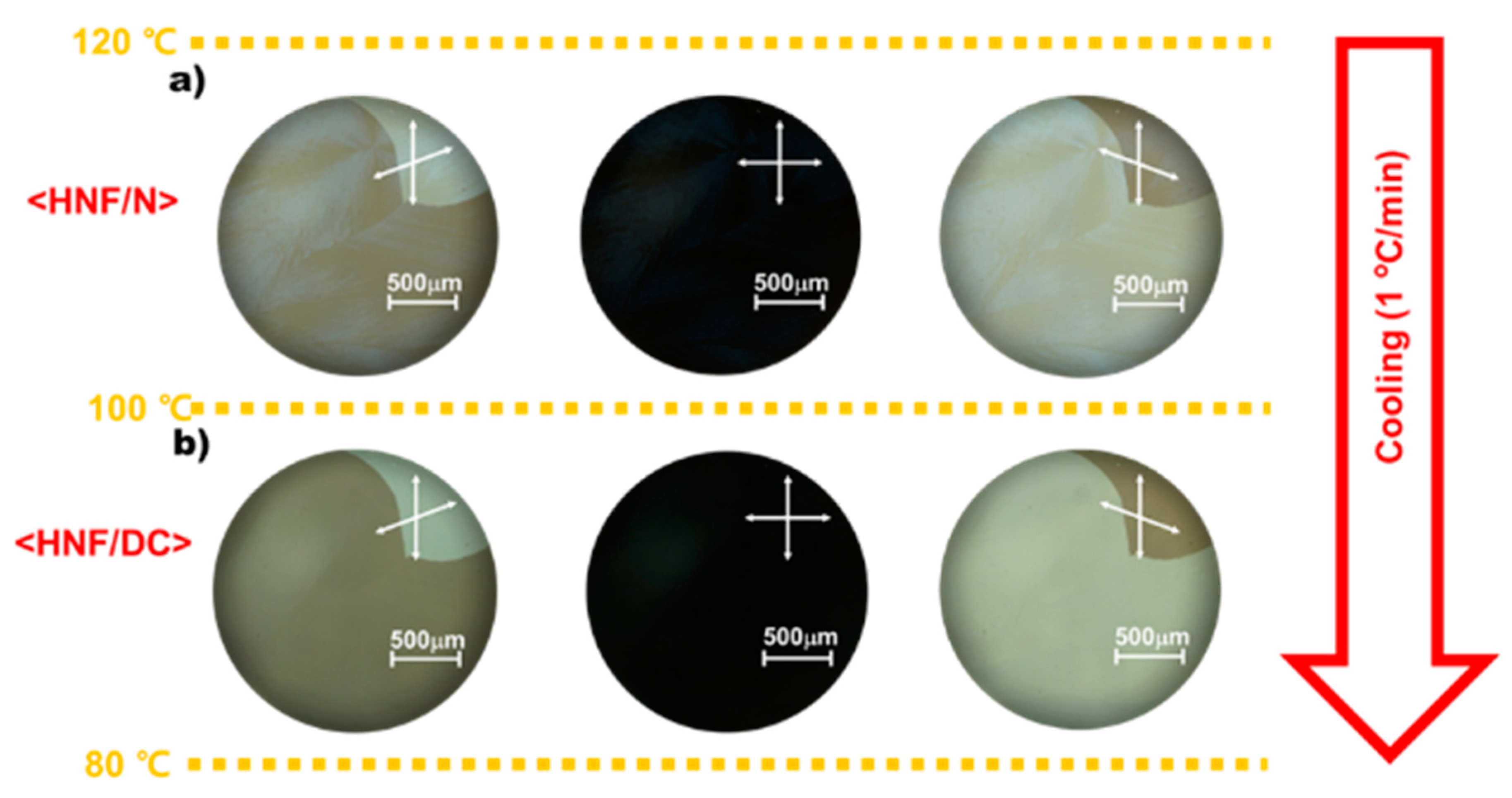 IJMS | Free Full-Text | Chiroptical Performances in Self-Assembled Hierarchical Nanosegregated ...