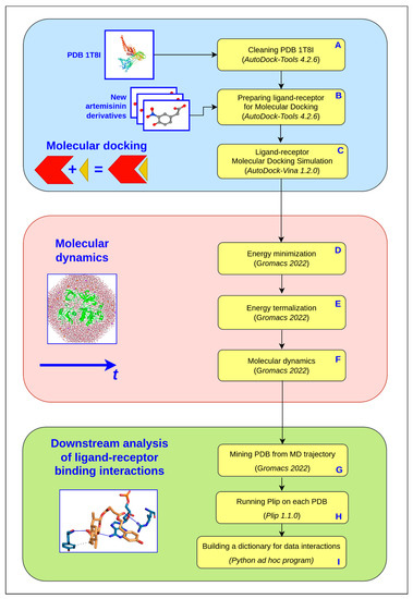 Molecular Docking and Dynamics Simulation Revealed the Potential ...