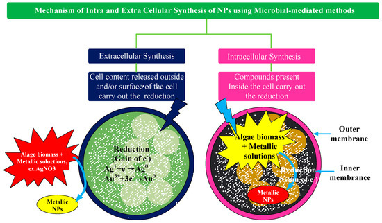 Progress in Laser Ablation and Biological Synthesis Processes: “Top ...
