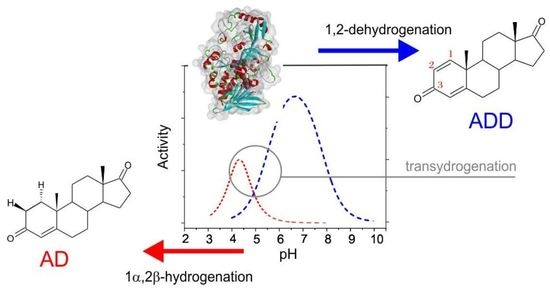 IJMS | Free Full-Text | 1,2-Hydrogenation and Transhydrogenation ...
