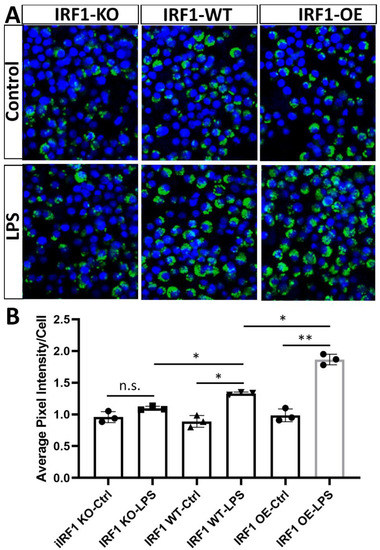 The Role of Interferon Regulatory Factor 1 in Regulating Microglial ...