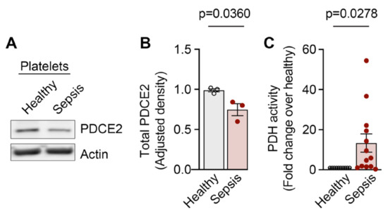 A New Role of NAP1L1 in Megakaryocytes and Human Platelets