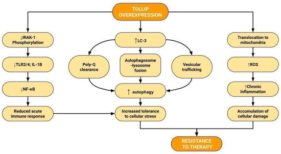 TOLLIP Protein Expression Predicts Unfavorable Outcome in Renal Cell ...
