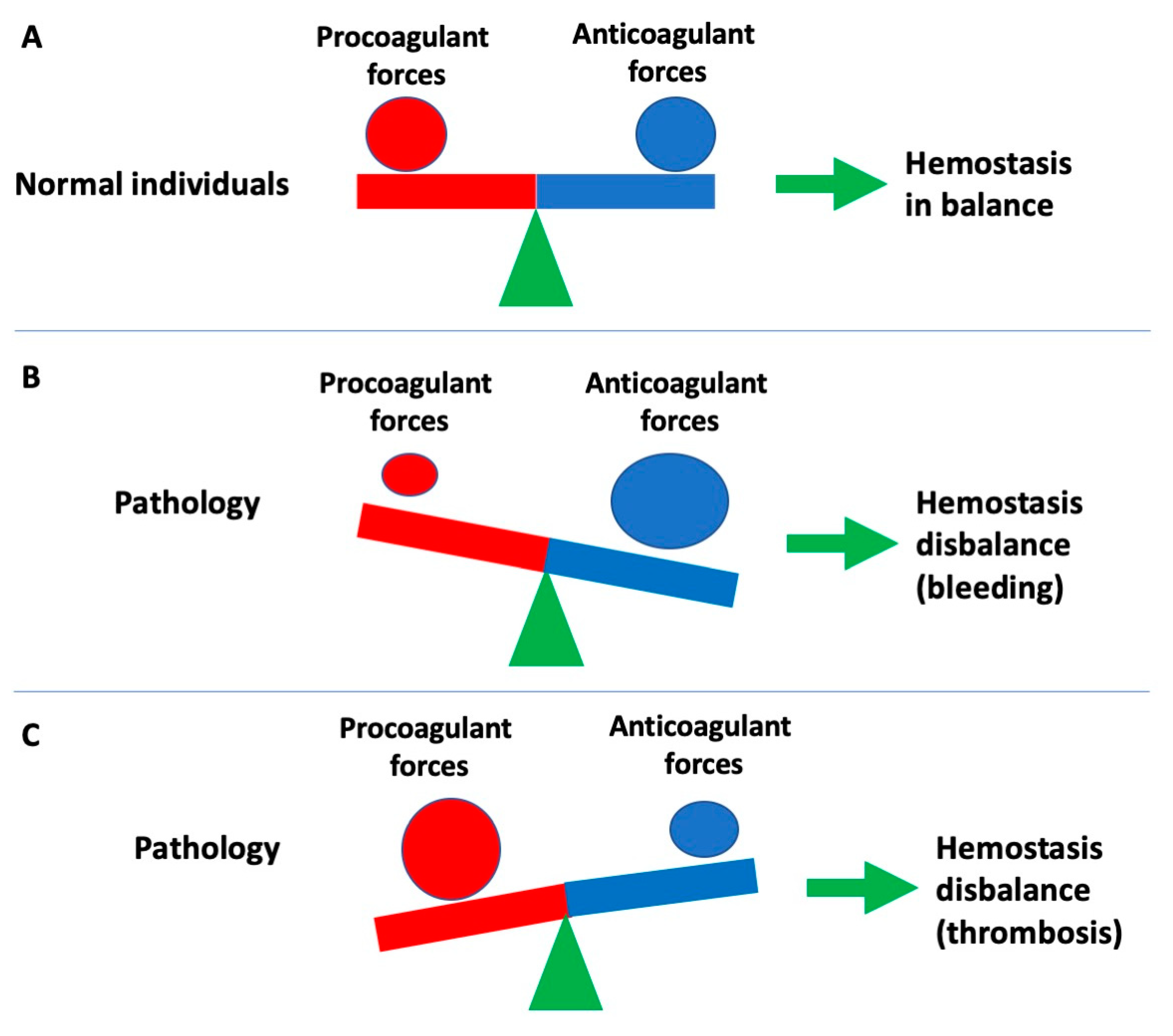 Autoimmune Diseases Affecting Hemostasis: A Narrative Review