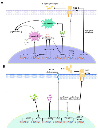 Integrated Transcriptome and Metabolome Analysis Reveals the Regulatory ...