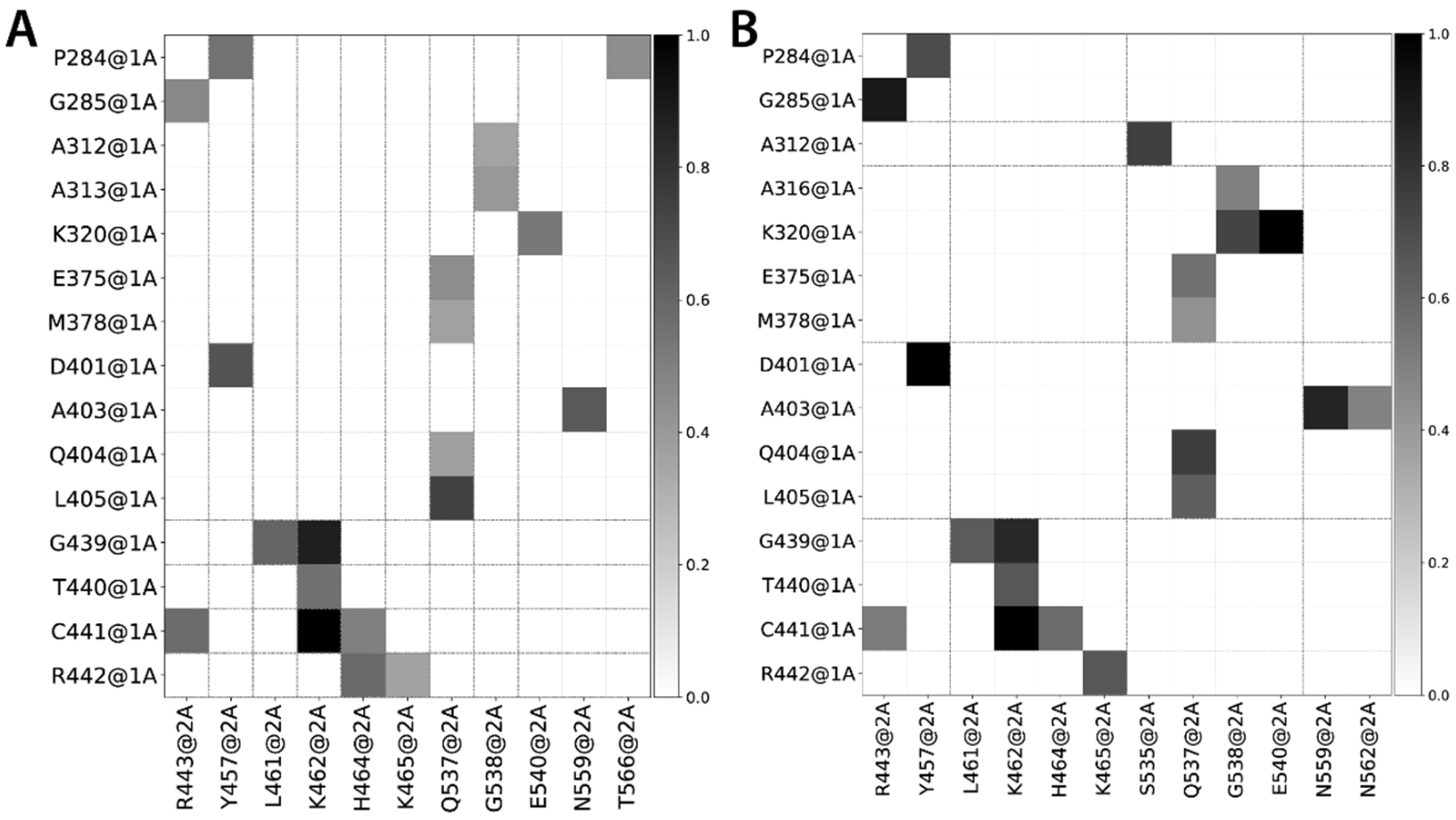 Computational Study of Helicase from SARS-CoV-2 in RNA-Free and Engaged Form
