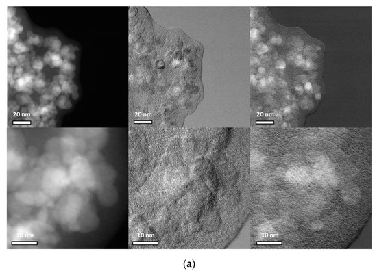 Carboxymethyl-Dextran-Coated Superparamagnetic Iron Oxide Nanoparticles ...