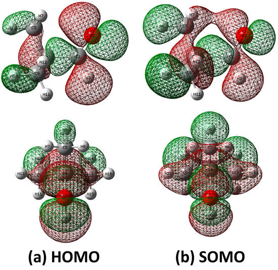 IJMS | Free Full-Text | Conformational Structures of Neutral and ...