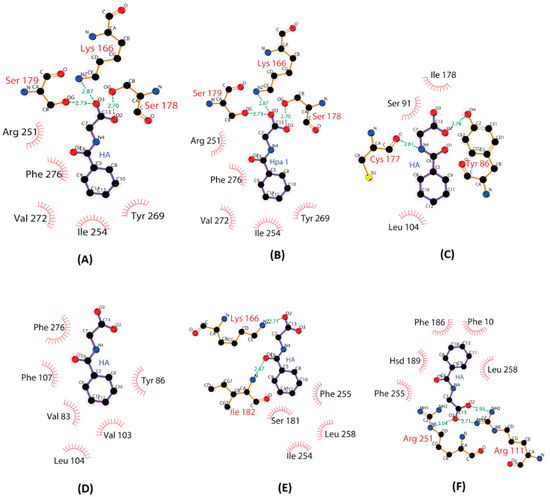 Exploring GPR109A Receptor Interaction with Hippuric Acid Using MD ...