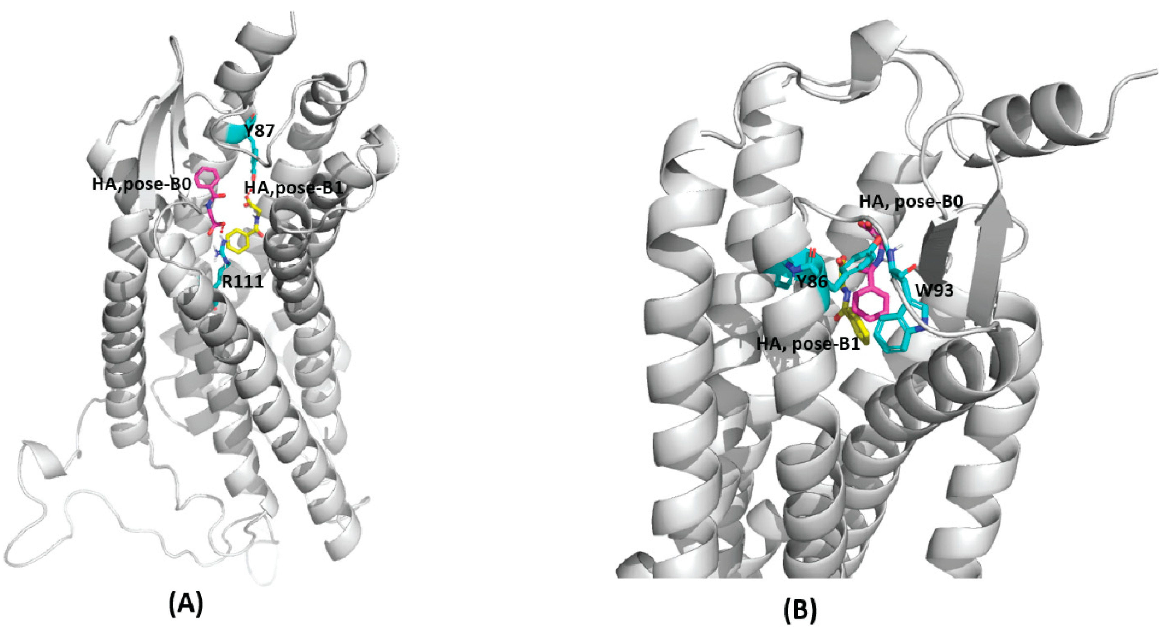 Exploring GPR109A Receptor Interaction with Hippuric Acid Using MD ...