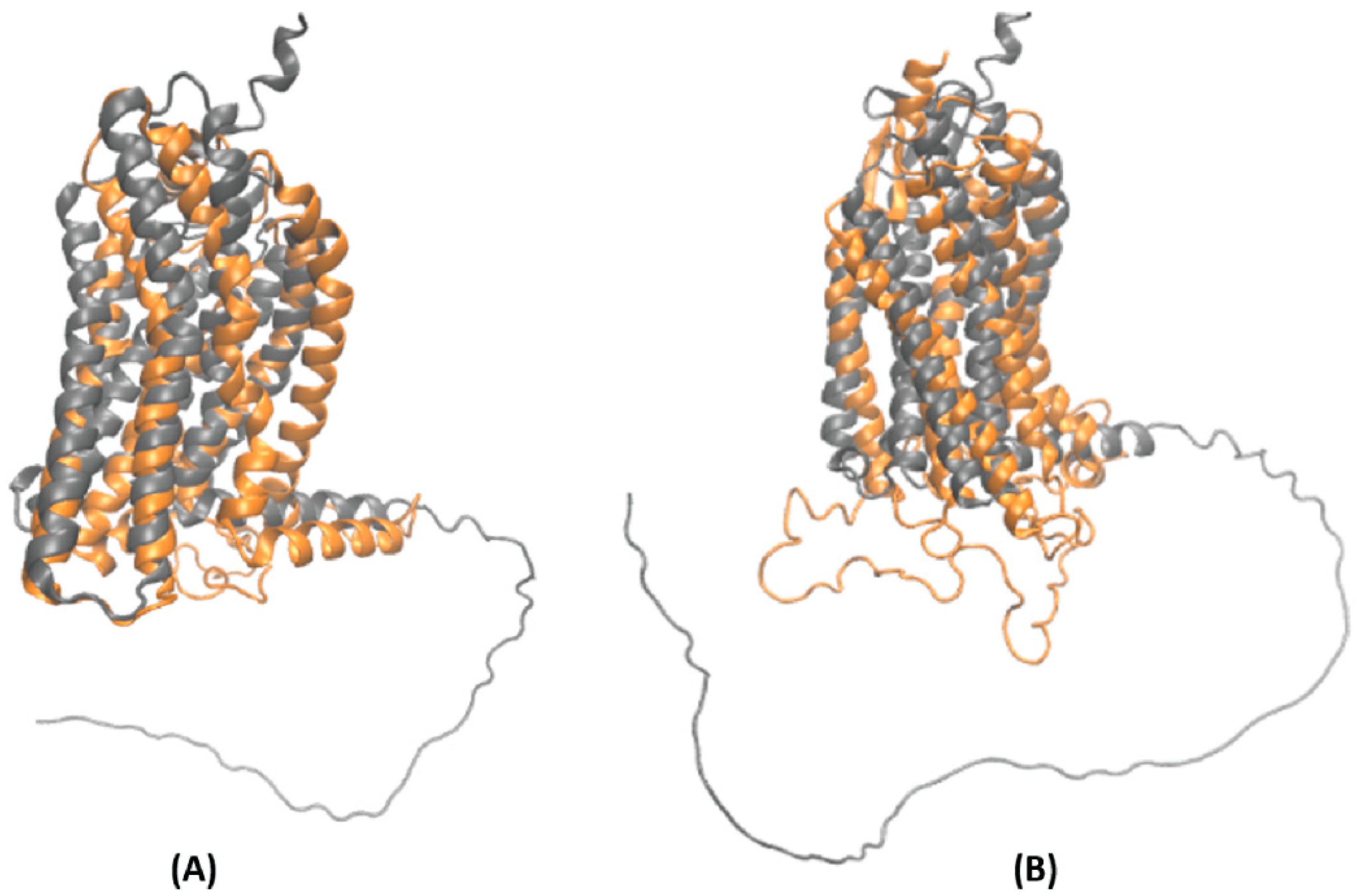 Exploring GPR109A Receptor Interaction with Hippuric Acid Using MD ...