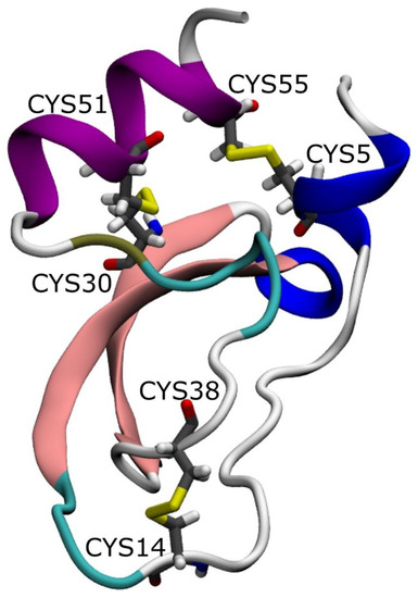 Protein 3D Hydration: A Case of Bovine Pancreatic Trypsin Inhibitor