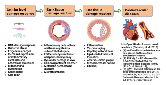 Tissue Reactions and Mechanism in Cardiovascular Diseases Induced by ...