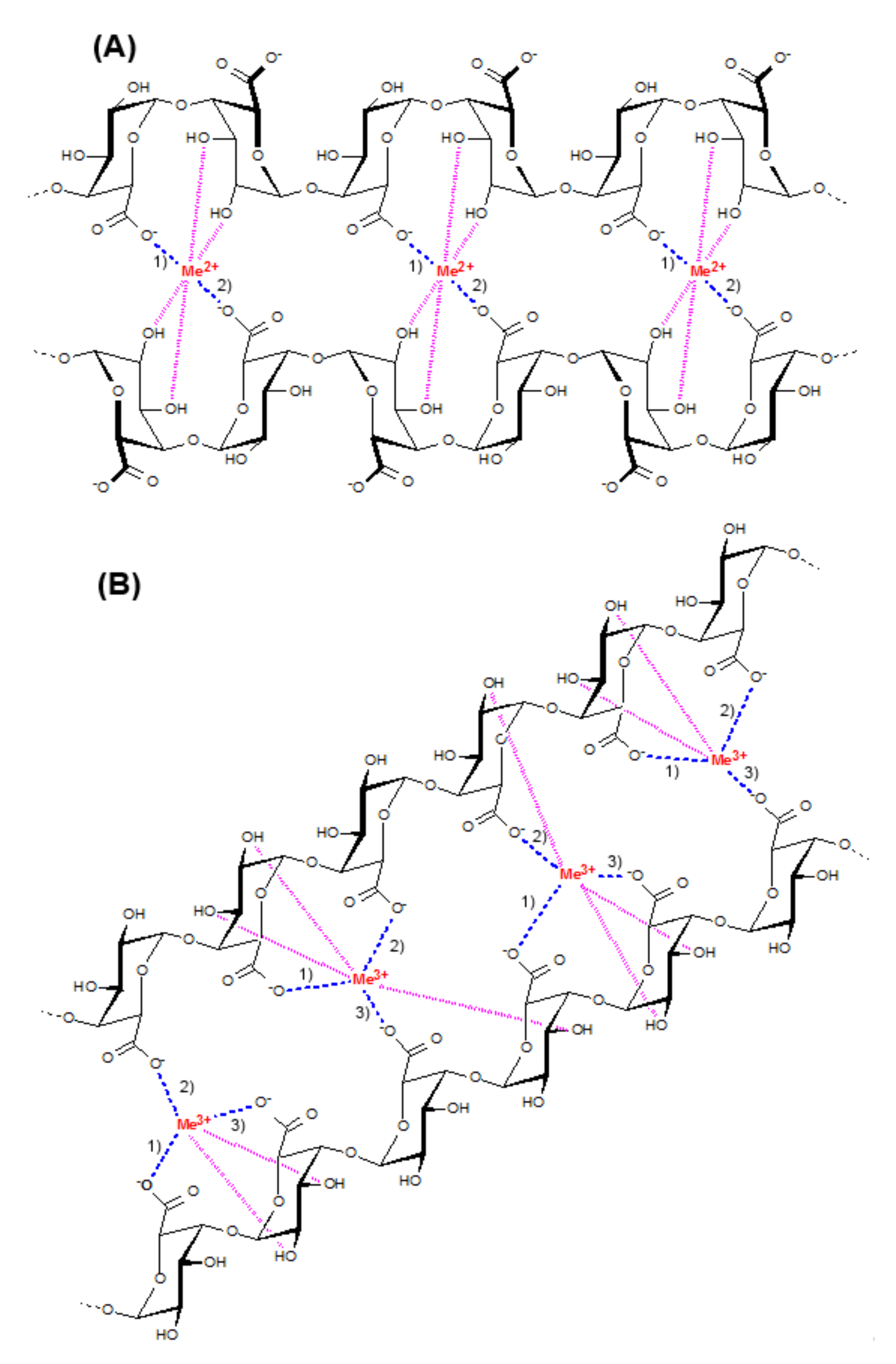 Effect of Cross-Linking Cations on In Vitro Biocompatibility of Apple ...