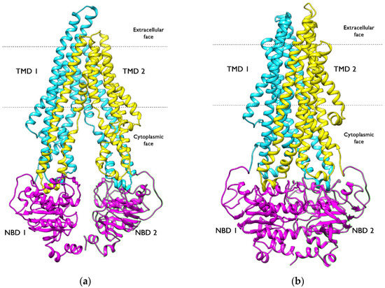 Recent Advances on P-Glycoprotein (ABCB1) Transporter Modelling with In ...