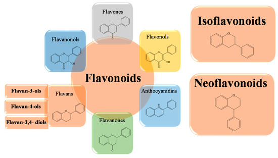 The Neuroprotective Potentiality of Flavonoids on Alzheimer’s Disease