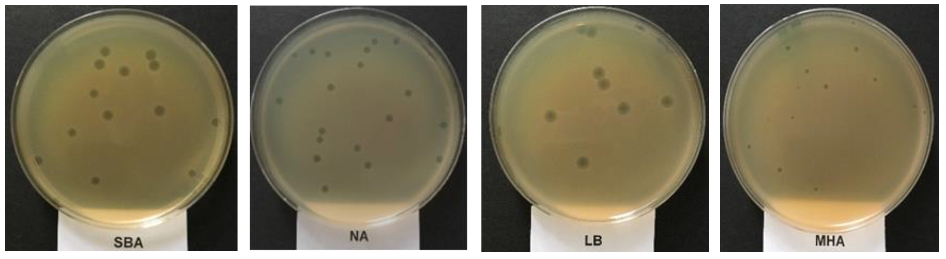 IJMS | Free Full-Text | Characterization and Genomic Analysis of ...