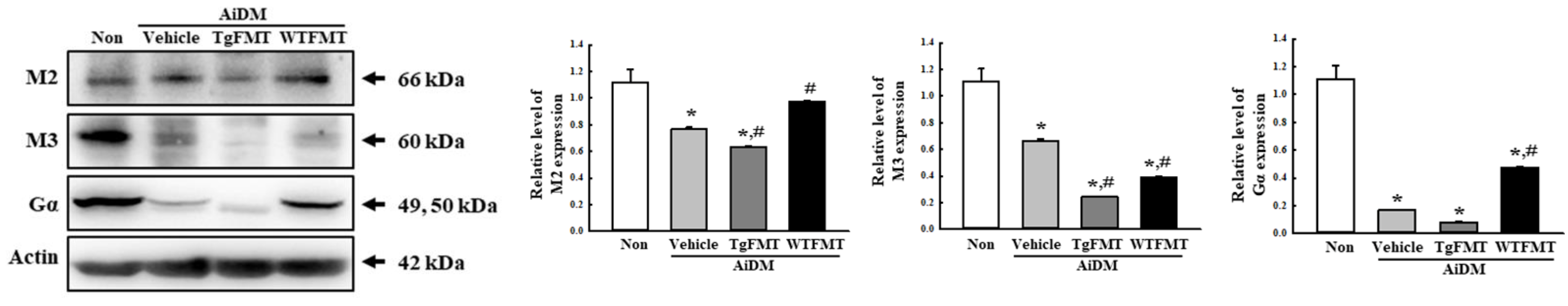 Dysbiosis of Fecal Microbiota in Tg2576 Mice for Alzheimer’s Disease ...