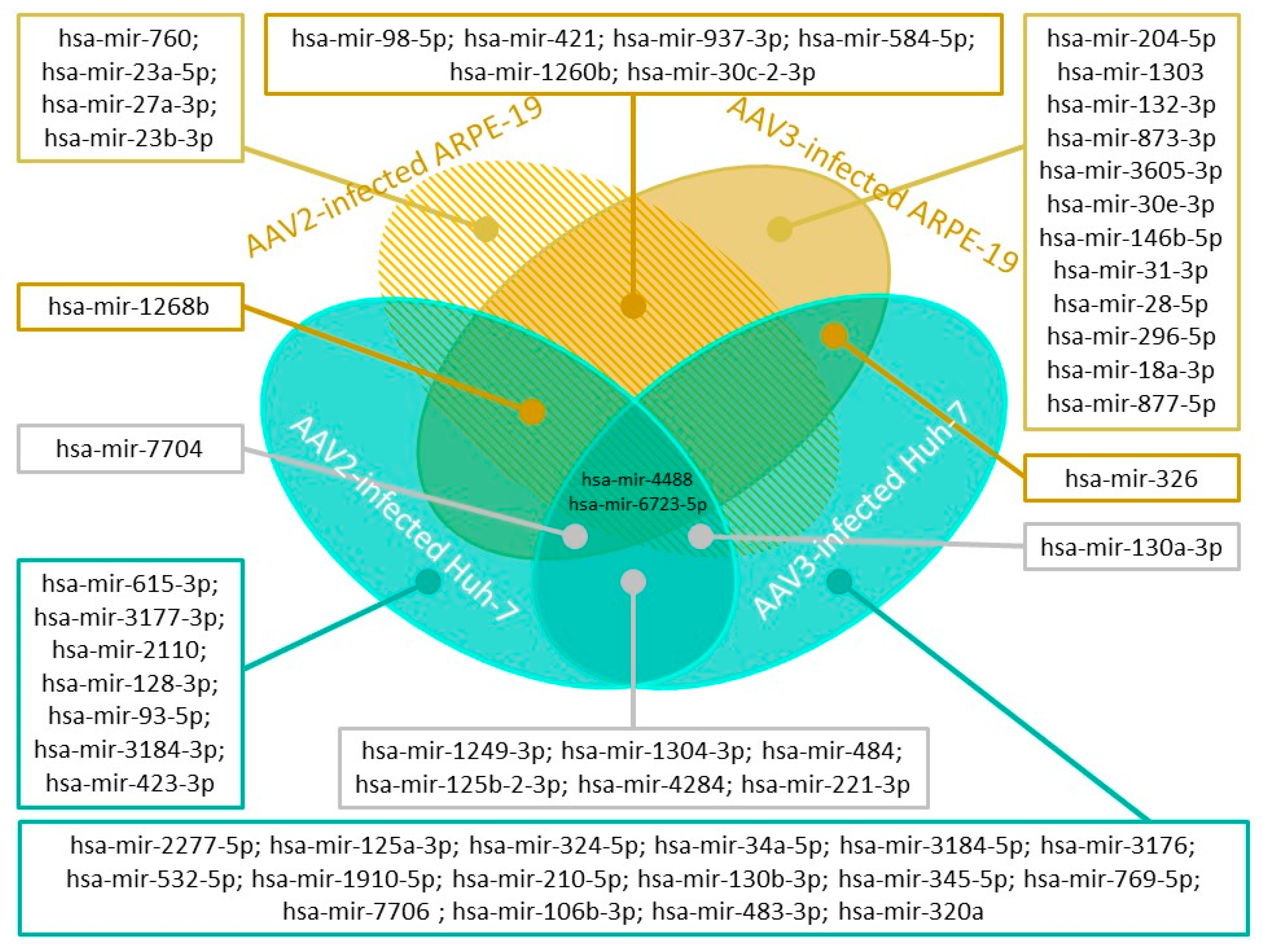 miRNA Pathway Alteration in Response to Non-Coding RNA Delivery in ...