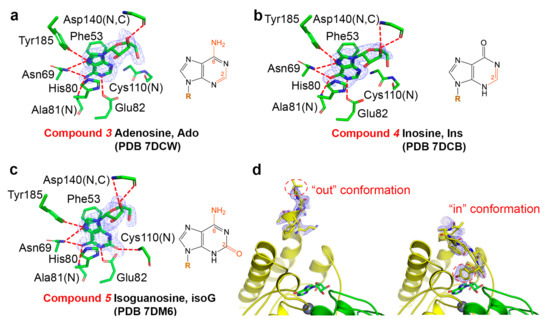 Substrate Specificity of GSDA Revealed by Cocrystal Structures and ...