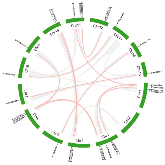 Identification and Characterization of AP2/ERF Transcription Factors in ...