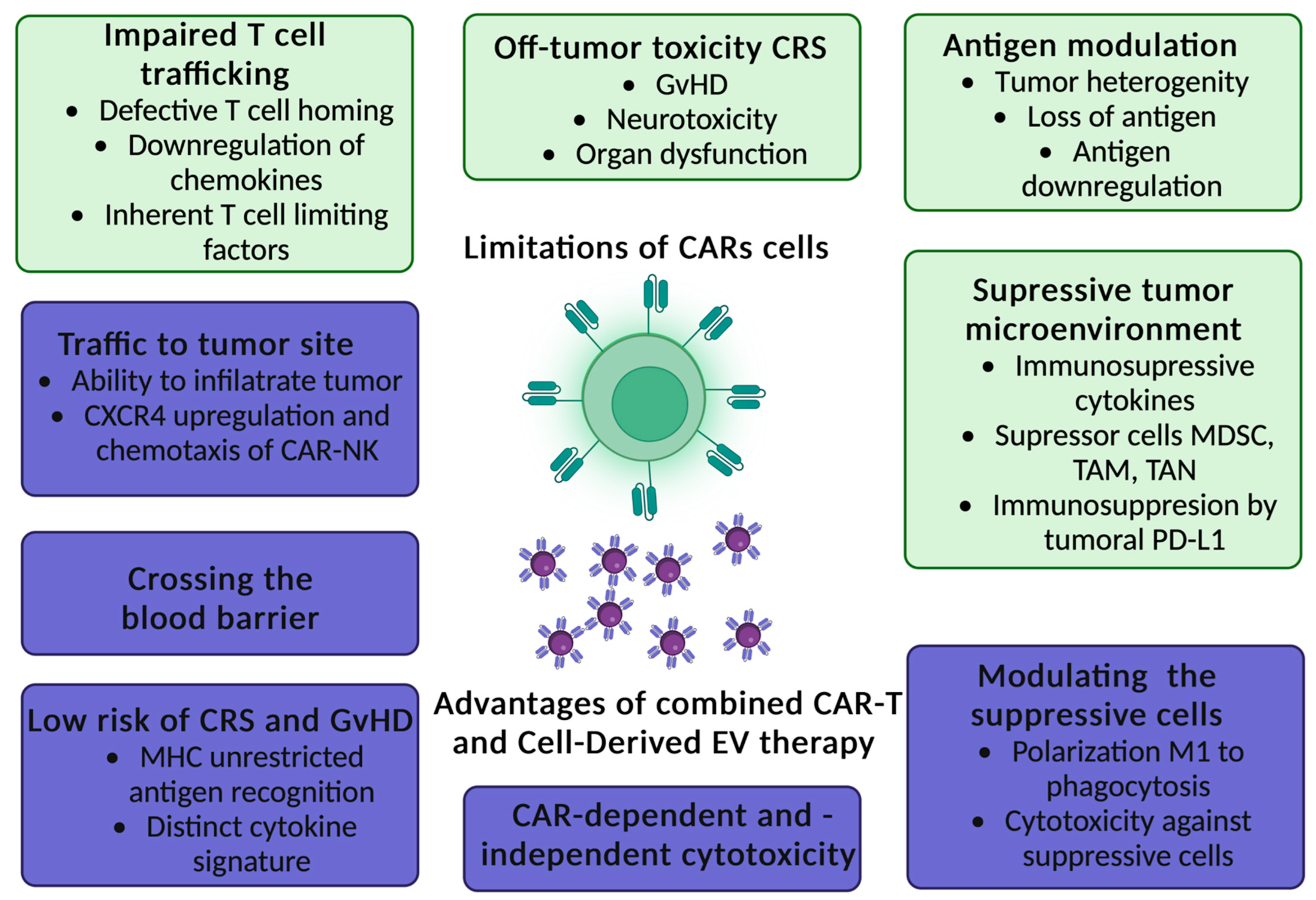 Modern Advances in CARs Therapy and Creating a New Approach to Future ...