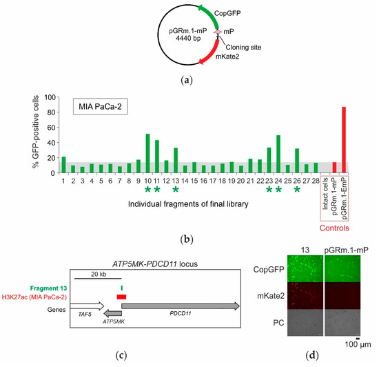 Efficient Selection of Enhancers and Promoters from MIA PaCa-2 ...