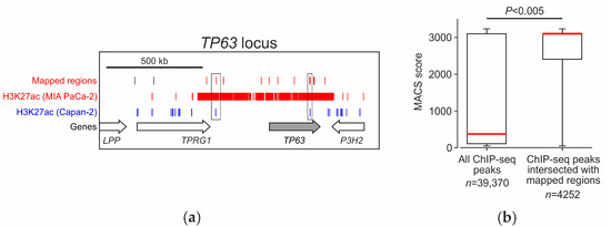 Efficient Selection of Enhancers and Promoters from MIA PaCa-2 ...