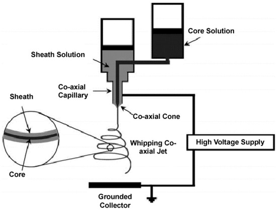 Multifunctional Scaffolds Based on Emulsion and Coaxial Electrospinning ...