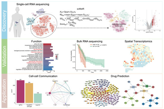 Estimating Metastatic Risk of Pancreatic Ductal Adenocarcinoma at ...