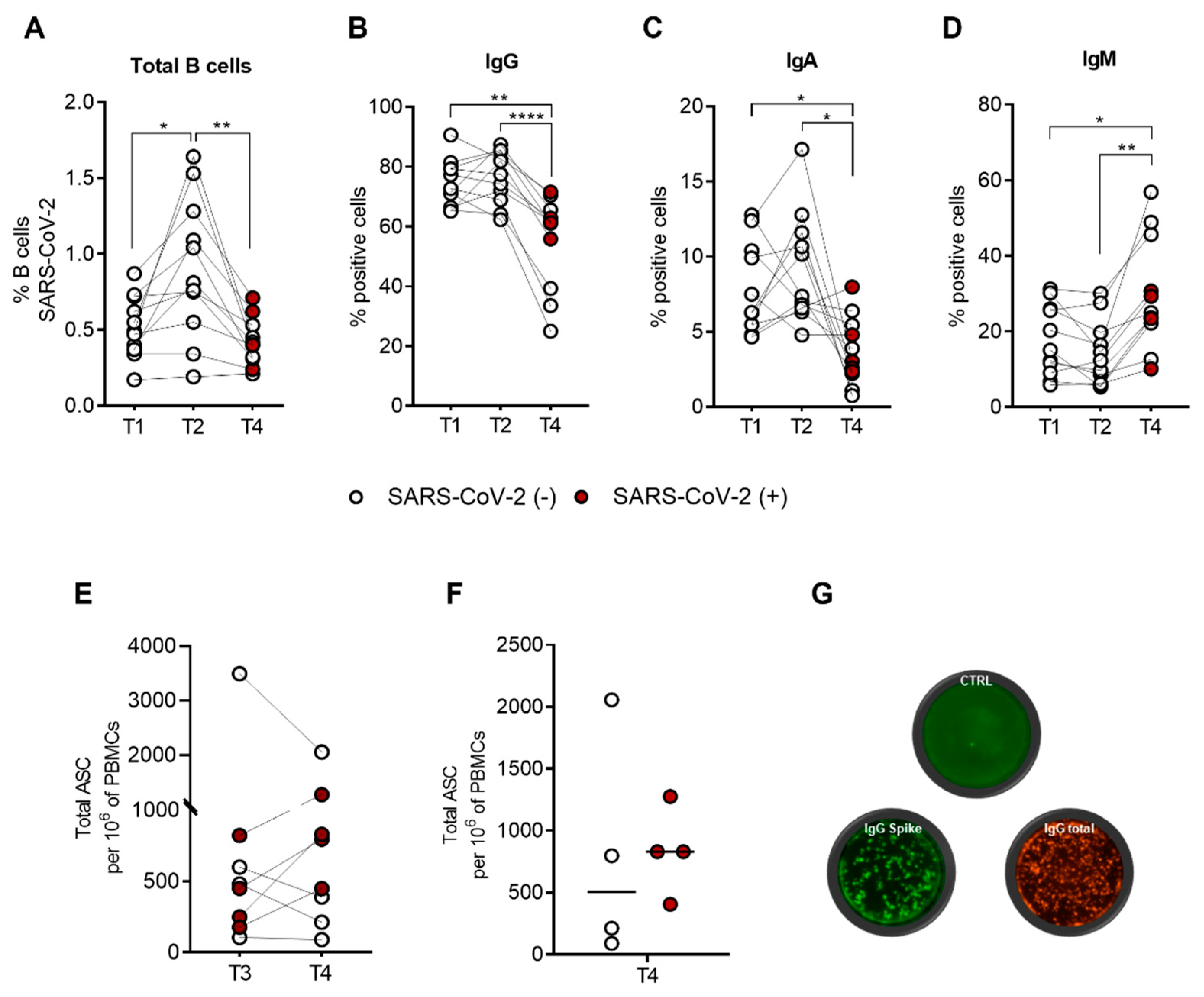 Long-Term Effectiveness of BNT162b2 Pfizer-BioNTech mRNA-Based Vaccine ...