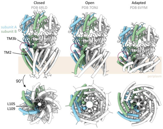 How Functional Lipids Affect the Structure and Gating of ...
