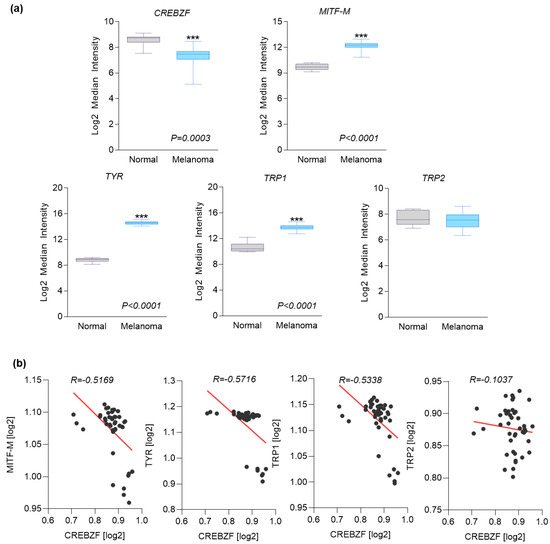 SMILE Downregulation during Melanogenesis Induces MITF Transcription in ...