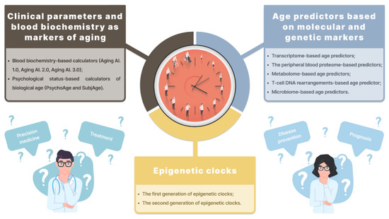 Biological Age Predictors: The Status Quo and Future Trends