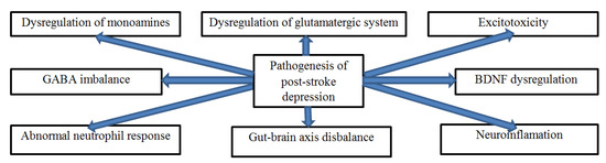 Pathophysiology and Current Drug Treatments for Post-Stroke Depression ...
