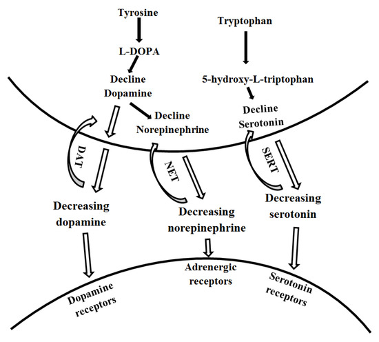 Pathophysiology and Current Drug Treatments for Post-Stroke Depression ...