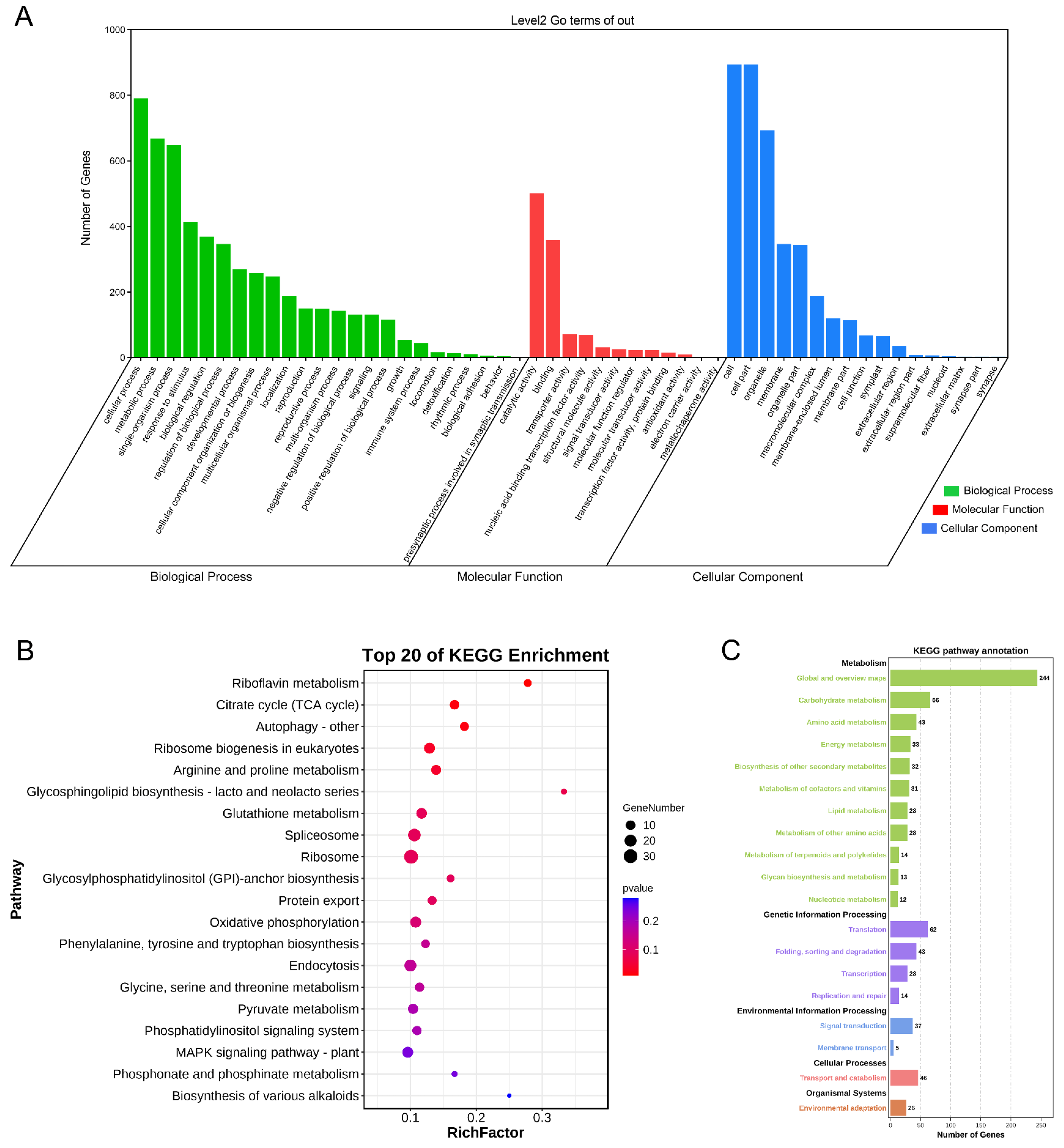 Genome-Wide Analysis of AP2/ERF Gene Superfamily in Ramie (Boehmeria ...