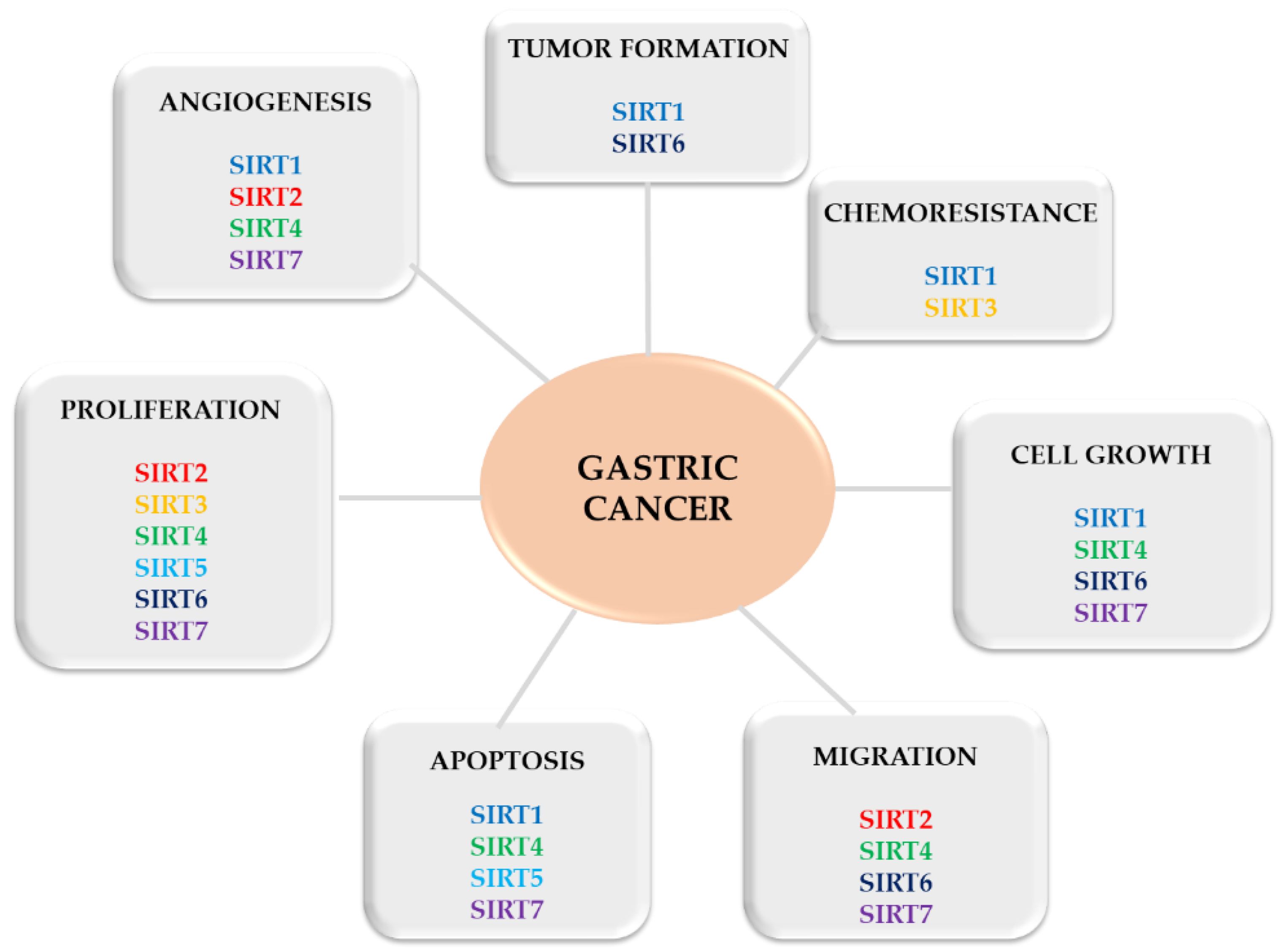Sirtuins (SIRTs) As a Novel Target in Gastric Cancer