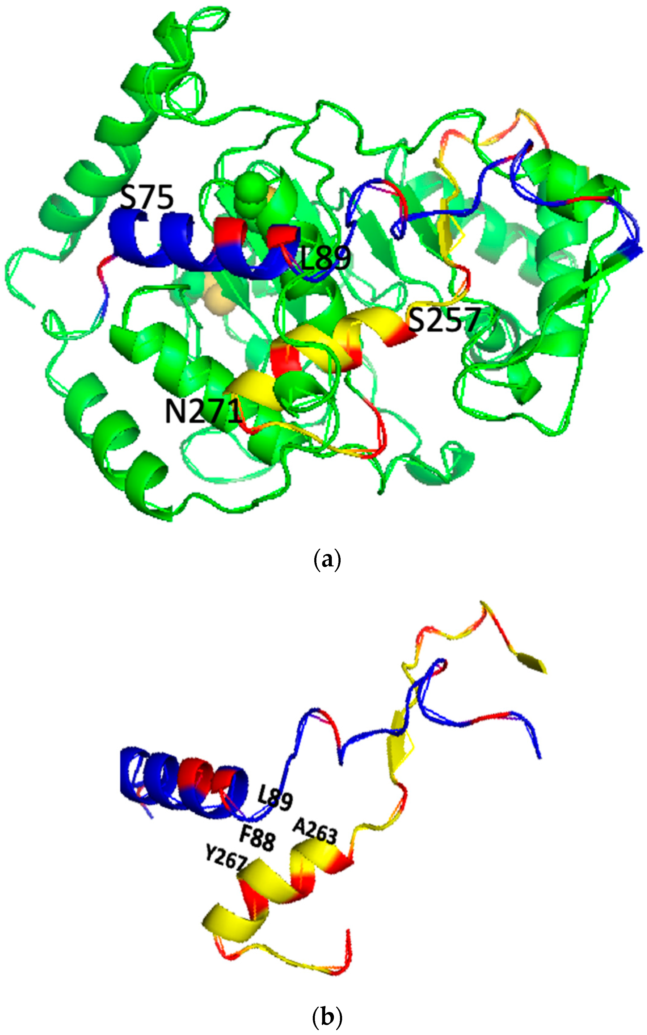 The Graphical Studies of the Major Molecular Interactions for Neural ...