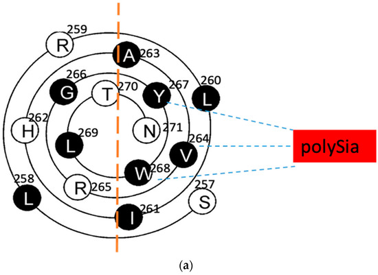 IJMS | Free Full-Text | The Graphical Studies of the Major Molecular Interactions for Neural ...